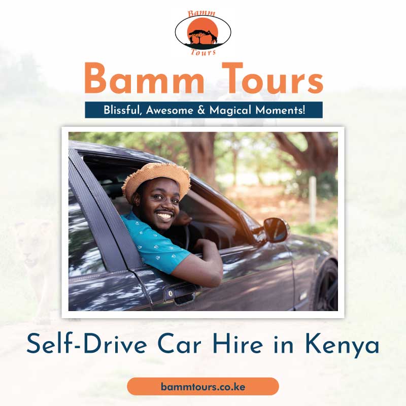 How to Prepare for a Self-Drive Trip in Kenya: Essential Checklist ...