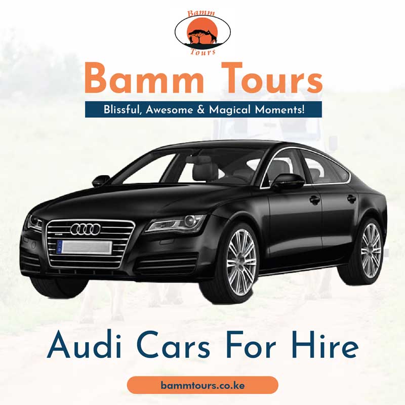 The Best Audi Cars For Hire in Kenya - Call +254 712 004 003