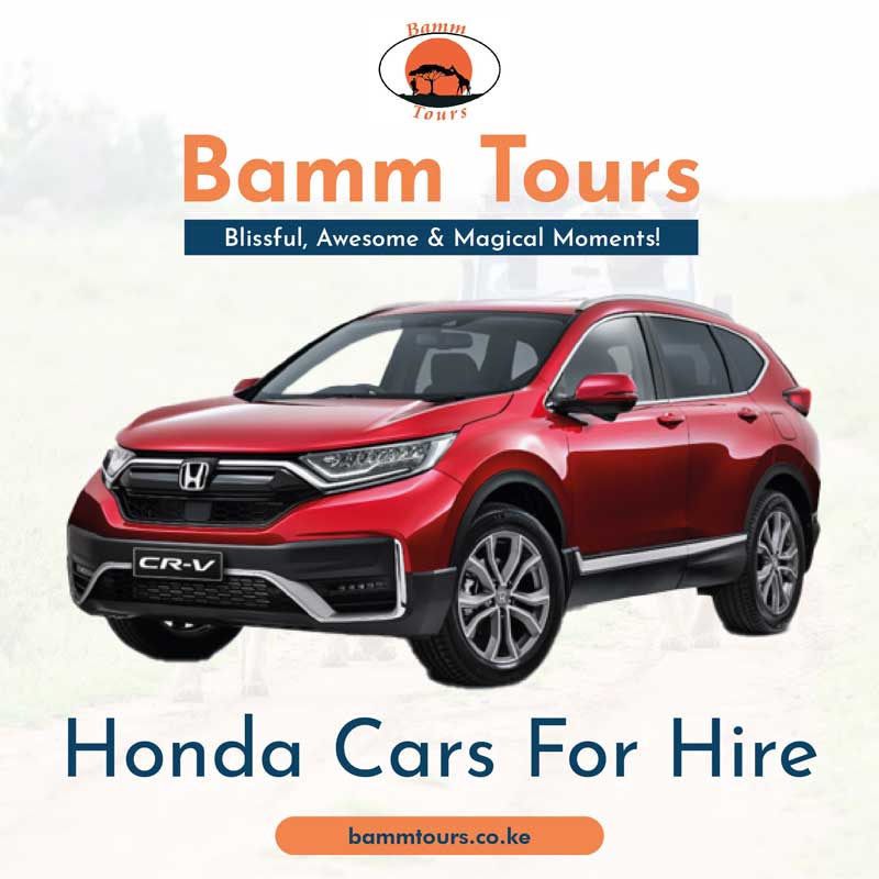 The Best Honda Car Hire in Kenya - Call +254 712 004 003