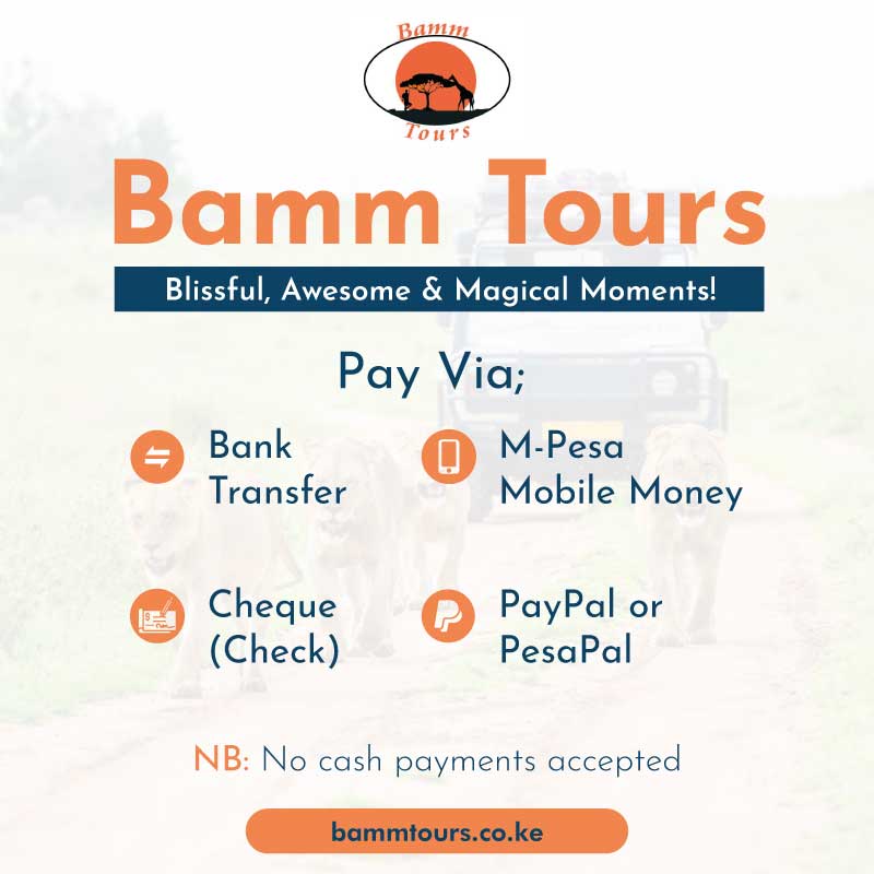 Pay - Bamm Tours & Safaris | Contact: +254 712 004003